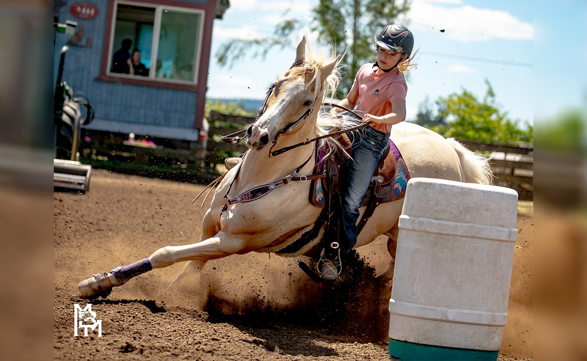 L#4872 Darkellys Royalty - 2014 Palomino Gelding (Darkelly x Juno’s ...