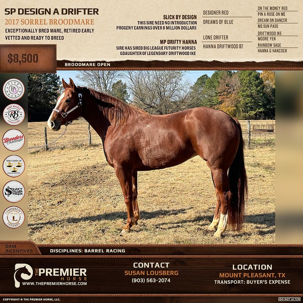 L#1403 Tres Cups Of Sugar - 2018 Bay Gelding (Tres Fortunes x Zeros Maybelline, Ain’t Seen ...