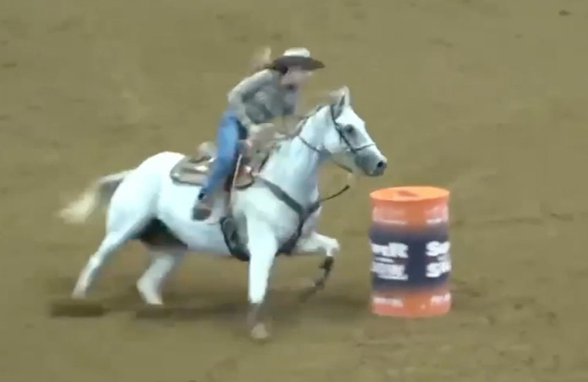 L#1146 Sr Epic Wildcatter - 2016 Gray Gelding (Epic Leader x I R A ...