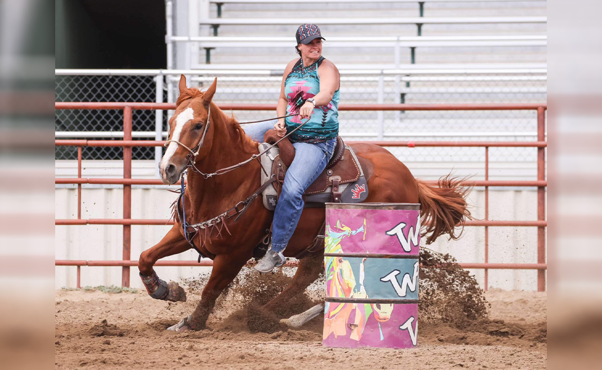 L#5523 Tc Firewater Casanova - 2015 Sorrel Gelding (Nitty Gritty Flit x ...