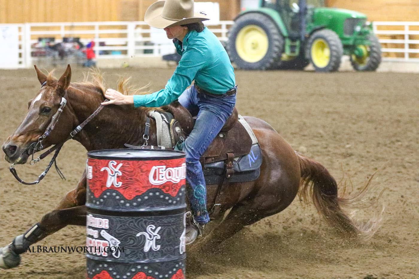 L#3824 Miss Ausborne - 2012 Chestnut Mare (Auspicious Cat x Miss N ...