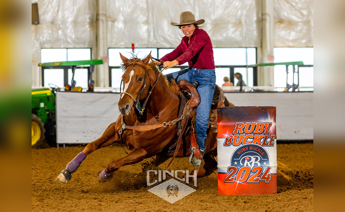 L#3307 Rr Sha Na Na - 2019 Sorrel Mare (Shawne Bug Leo x Kn Fabs Mist ...