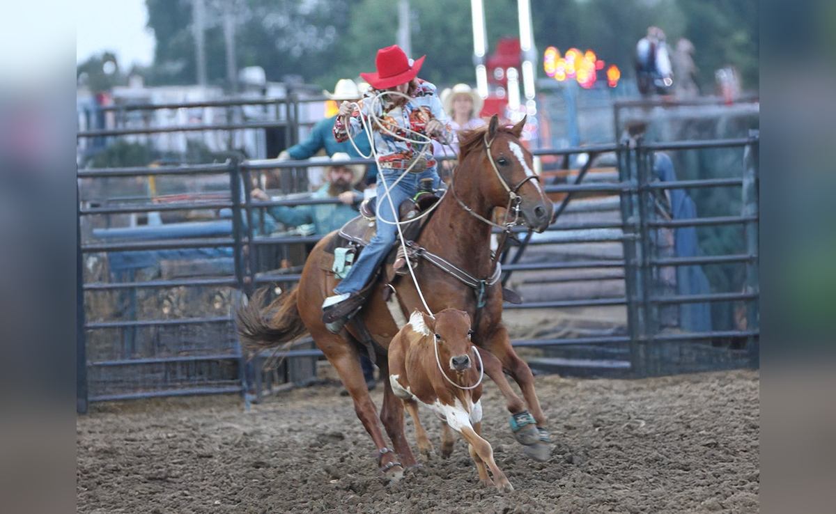 L#5903 Peppys Cody May - 2013 Sorrel Gelding (Peppy Uh Huh x Taris ...