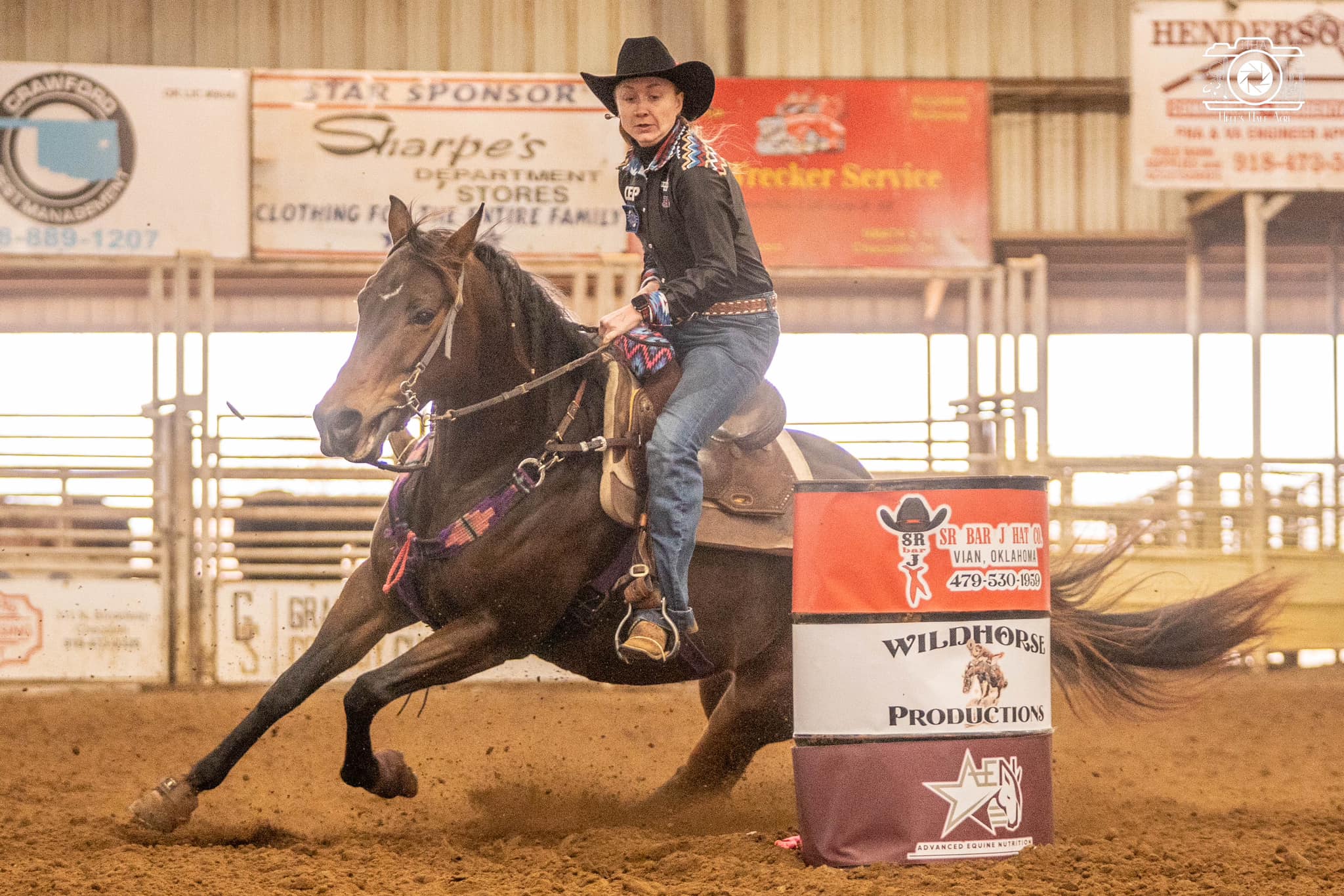 L#4038 Gitter Noumen - 2018 Bay Mare (Gitter Dun Turnpike x Noumen, No ...