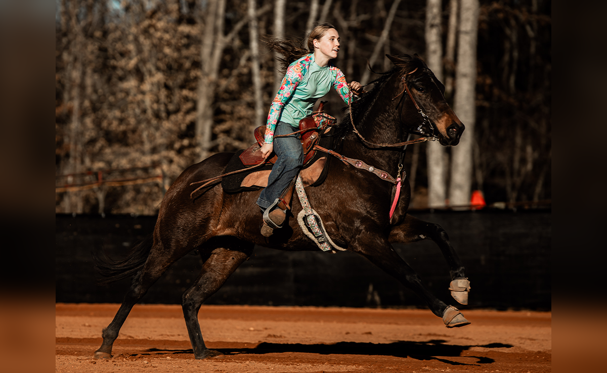 L#2513 Jess Perrys Tuff Gun - 2020 Bay Mare (Carpathian x Tuff Guns N ...