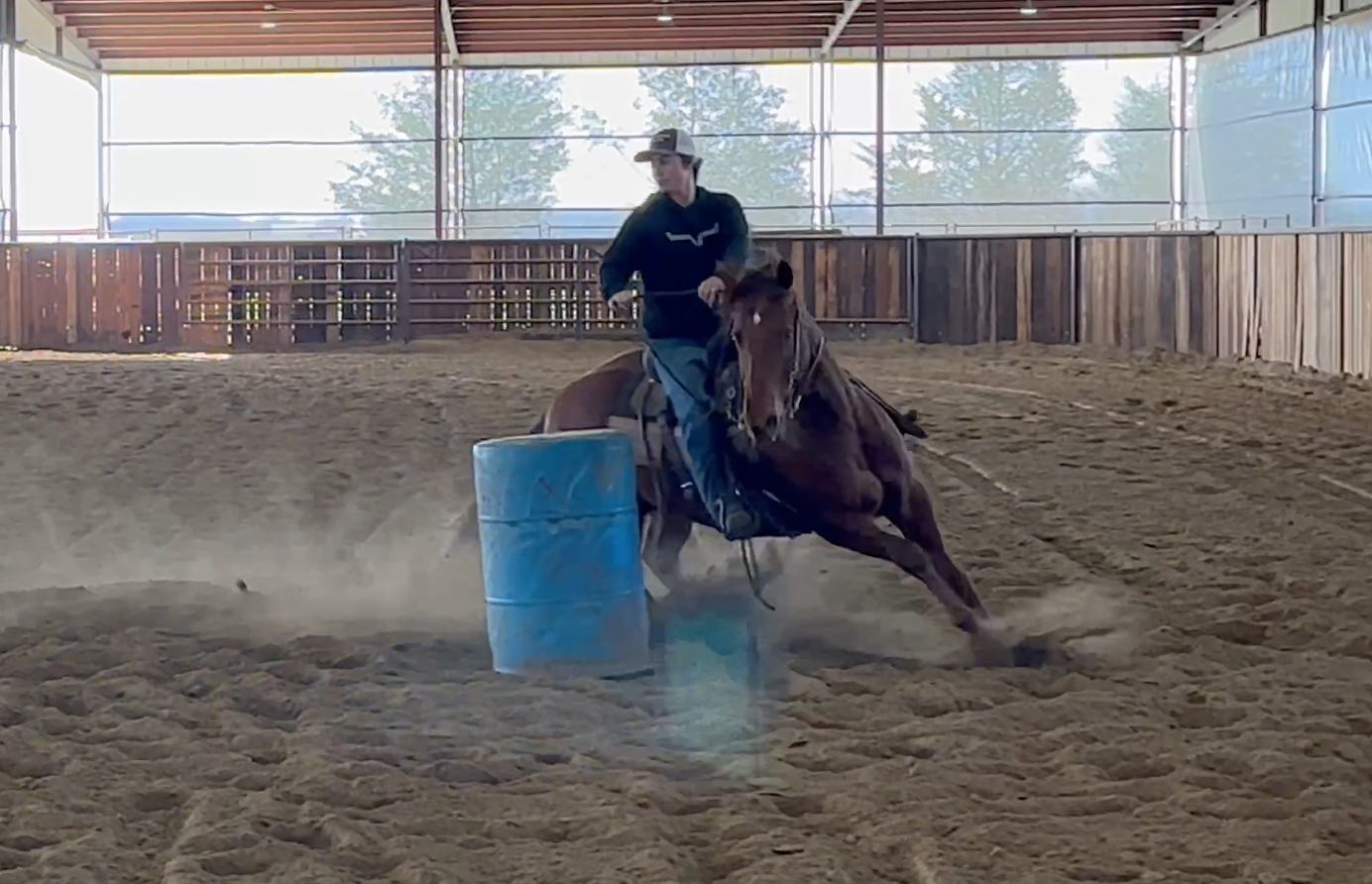 L#1024 Kn Electric Fame - 2019 Sorrel Gelding (Kn Famous Czar x Lite Me ...