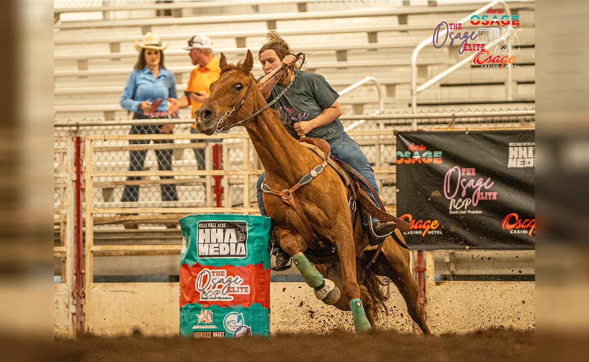 L#3615 Peppys Last Bonanza - 2006 Chestnut Gelding (A Lil Cherokee ...