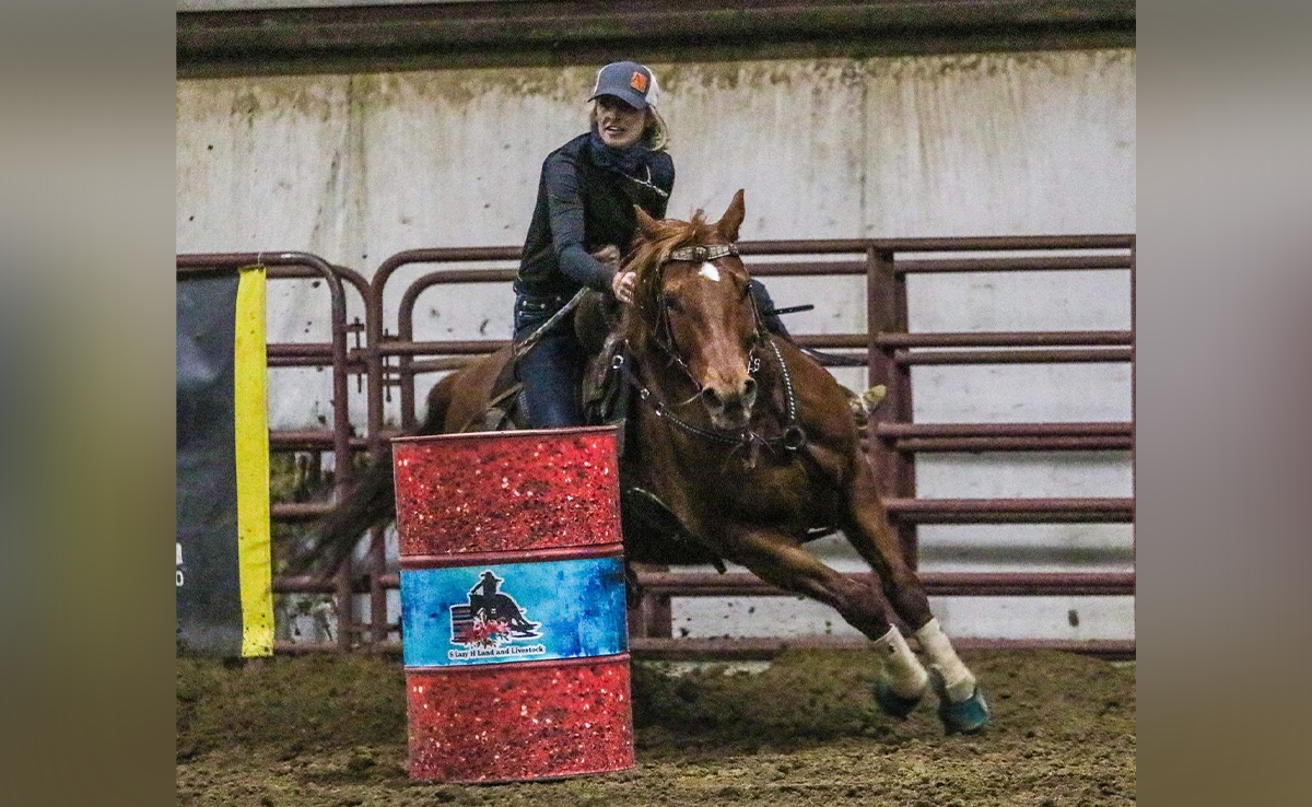 L#5114 Foal In Utero - 2026 (Fiestas Dynasty x Bulleva, Bully Bullion ...