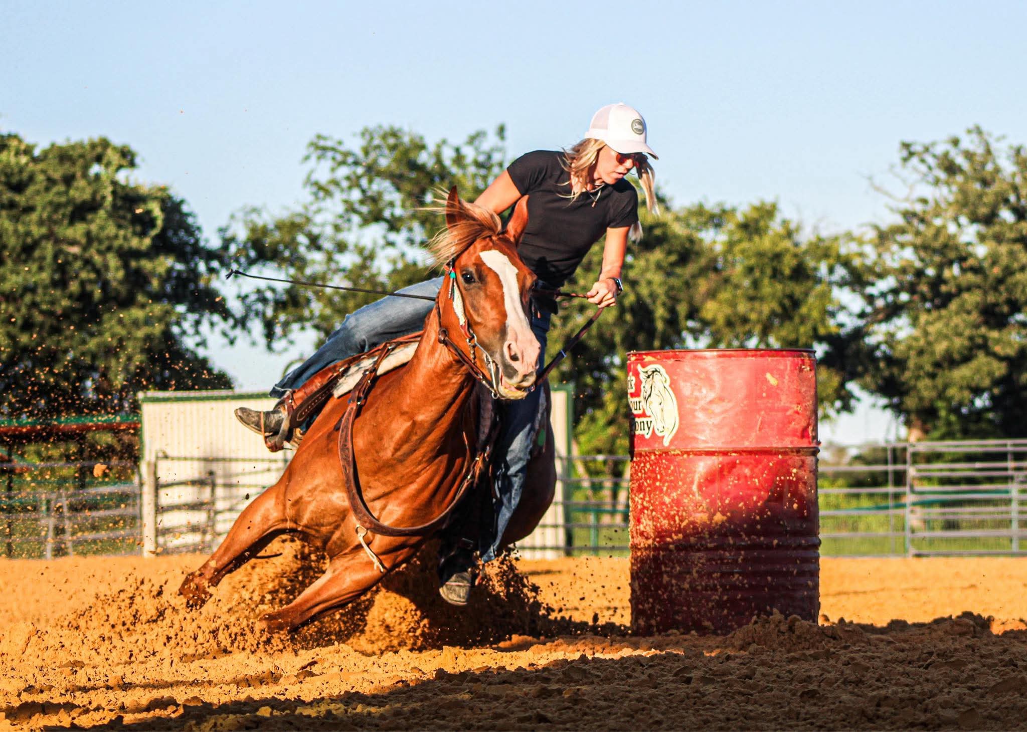 L#4443 Ro Snickle Cat - 2016 Sorrel Mare (Rawhides Rez Cat x Four 771 ...