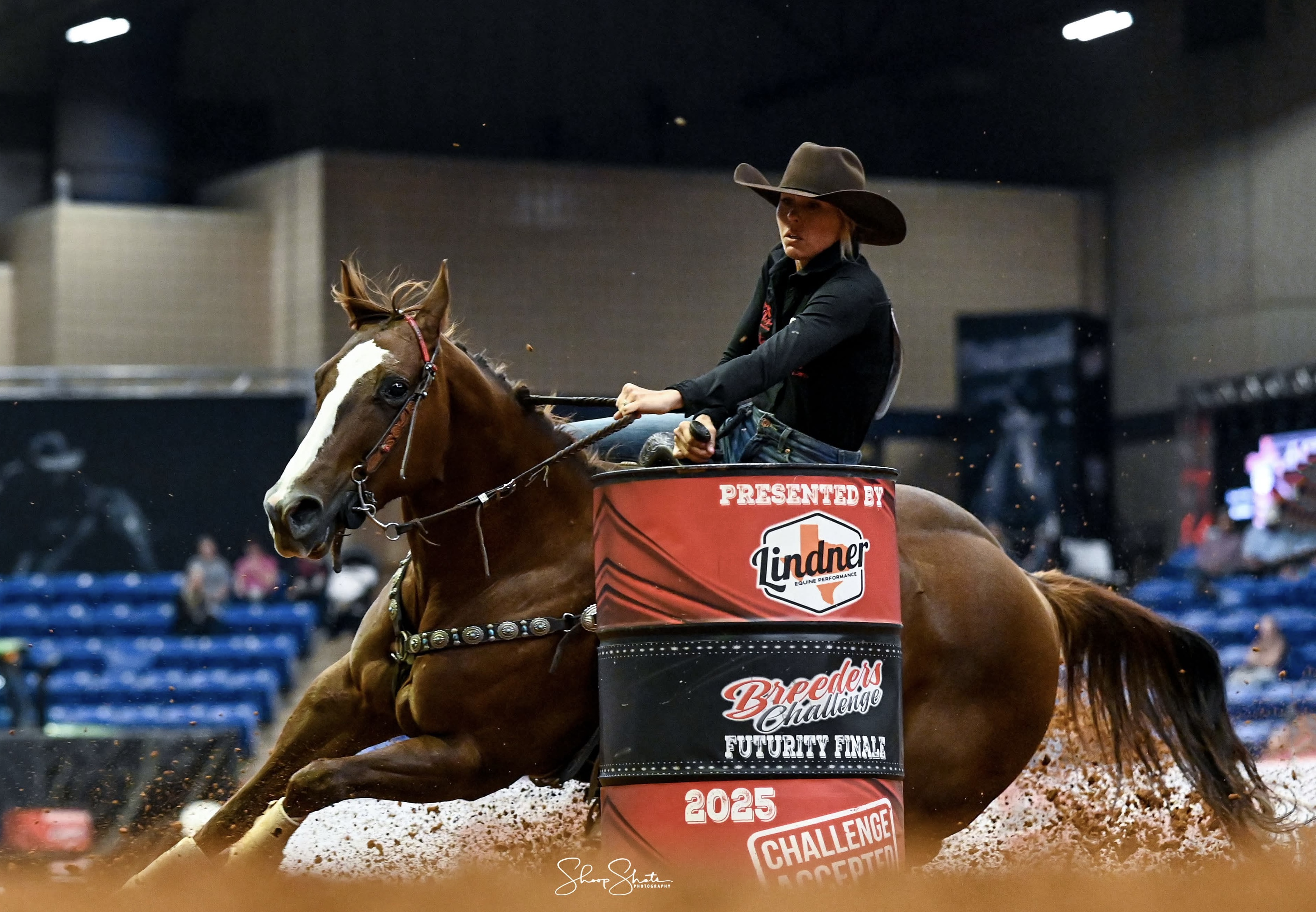 L#5226 Rockin Desert Rose - 2020 Sorrel Mare (The Goodbye Lane x ...