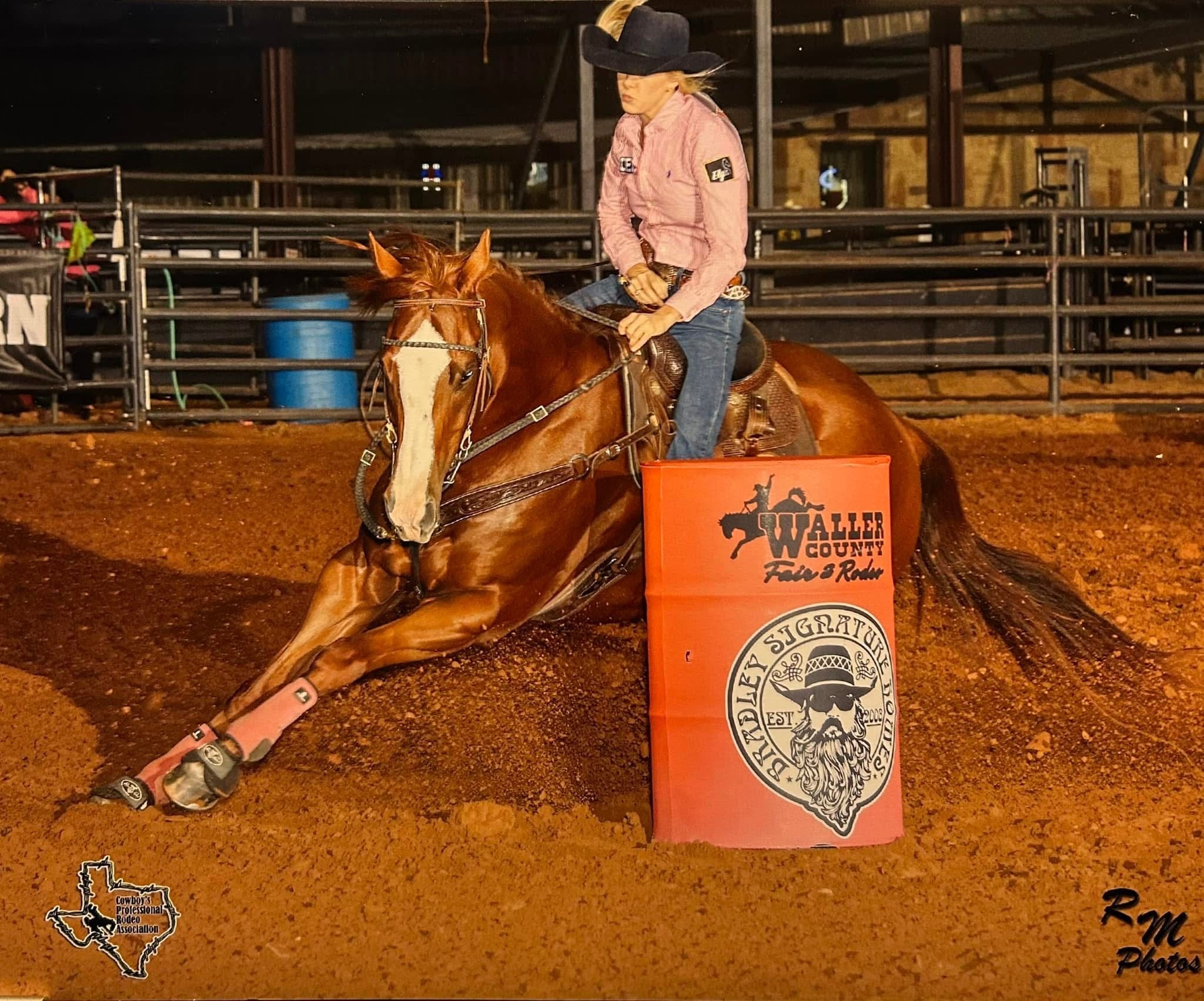 L#2469 Gunamakyafamous - 2014 Sorrel Gelding (One Famous Eagle x Halley ...