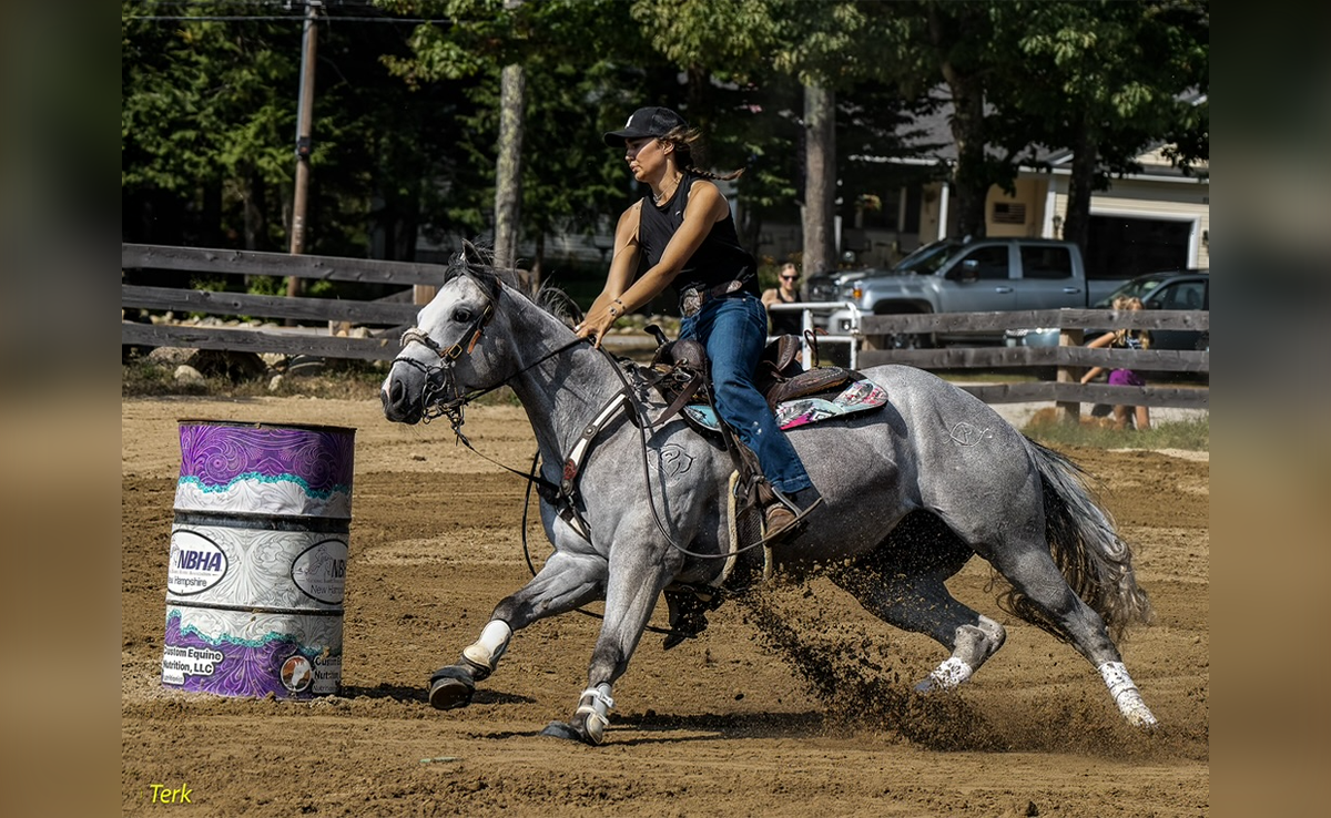 L#1671 Zoom Zoom Wagon - 2020 Gray Gelding (On The Wagon x Zoomin Lil ...