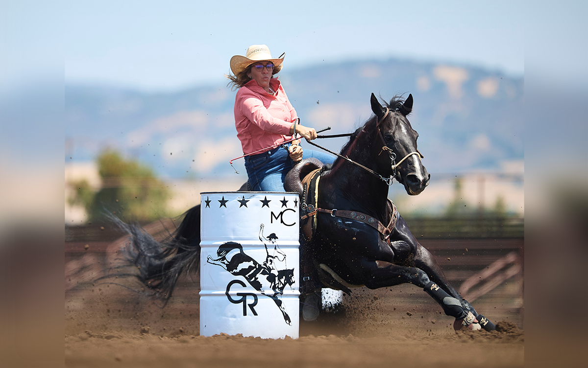 L#1232 Valiant Jb - 2015 Black Gelding (Valiant Hero x Jumpn Beduino ...