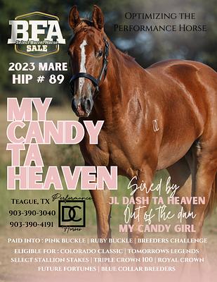 L#5964 My Candy Ta Heaven - 2023 Sorrel Mare (Jl Dash Ta Heaven x My ...