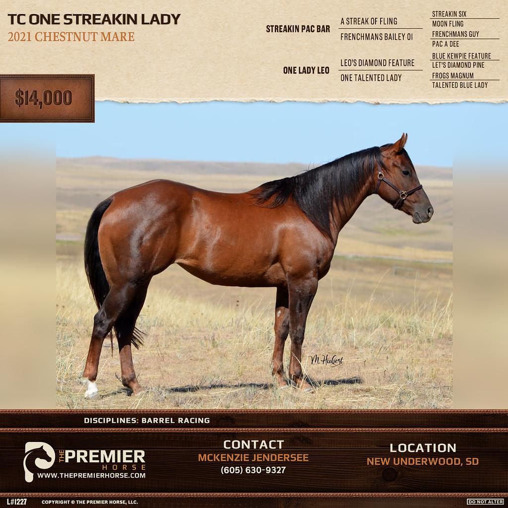 L#1227 Tc One Streakin Lady - 2021 Chestnut Mare (Streakin Pac Bar x One Lady Leo, Leo's Diamond ...