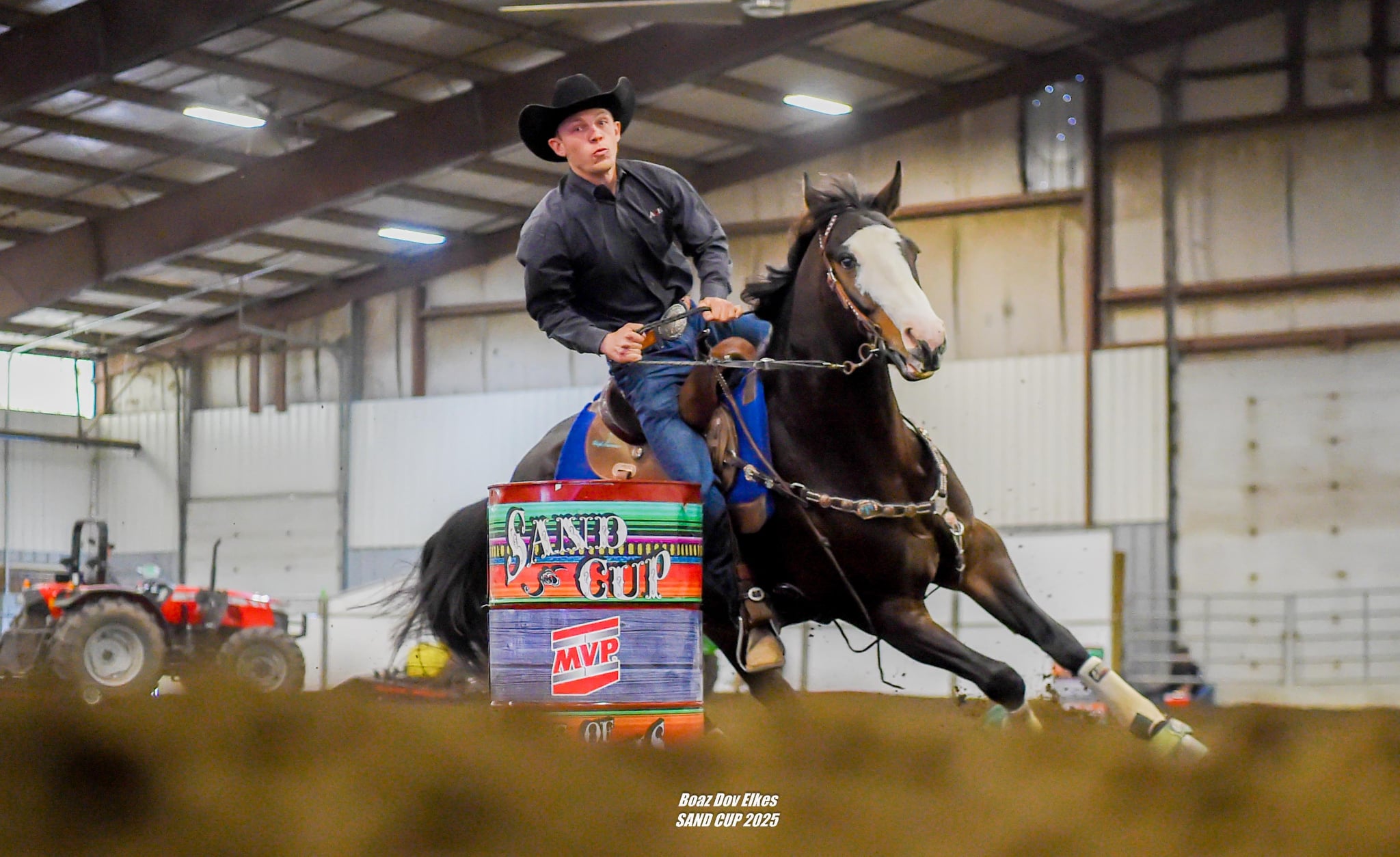 L#4650 Mayobiwonbwithyou - 2020 Bay Gelding (Maythefourthbwithyou x ...