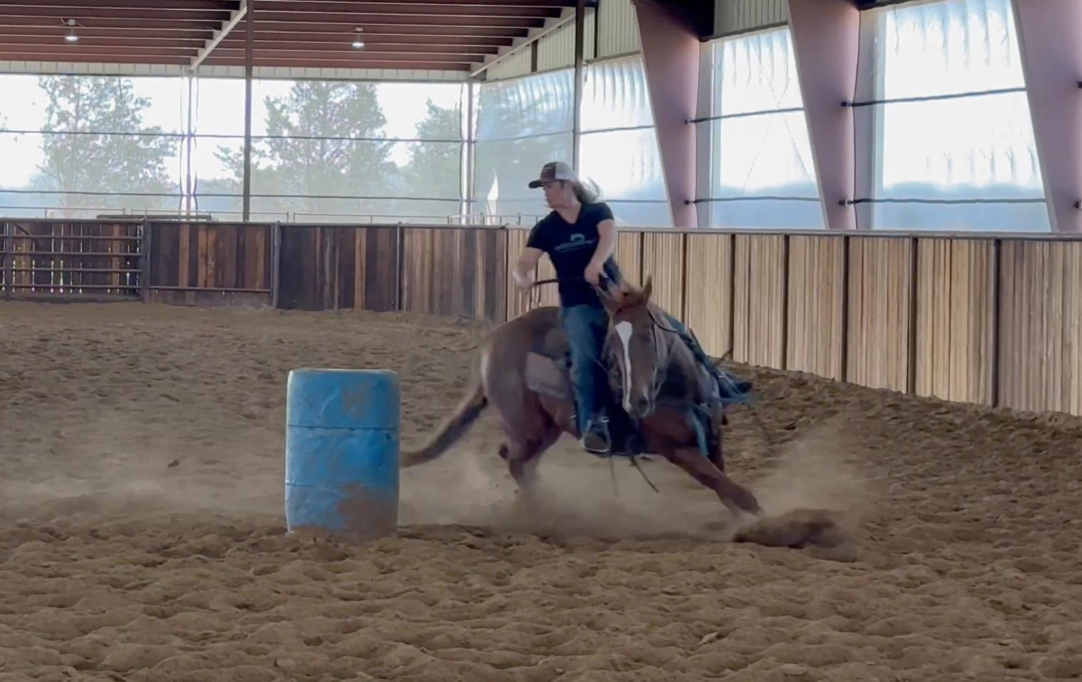 L#1023 Mc Dashin Cowboy - 2020 Sorrel Gelding (Dashin Dynamo x Hot ...