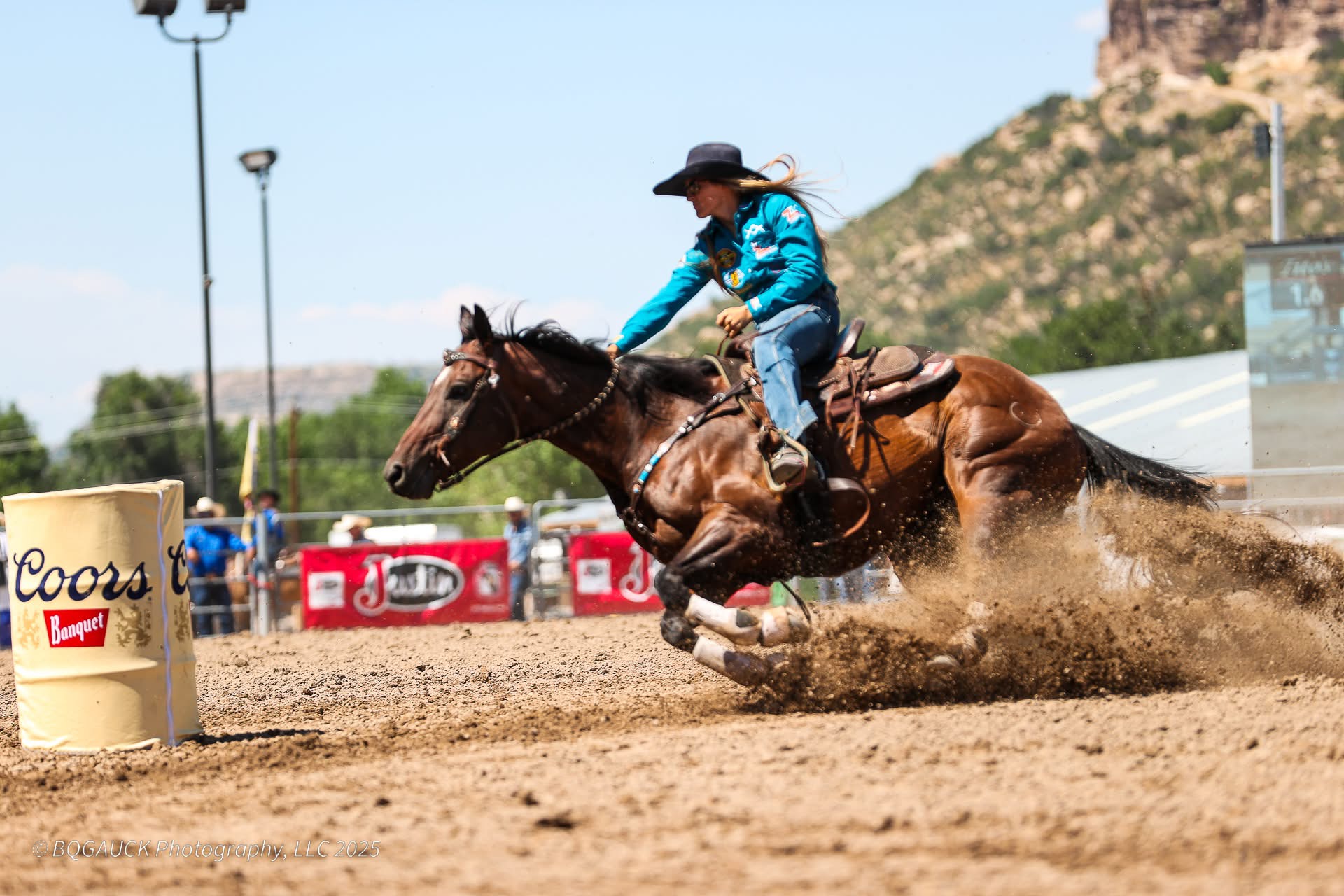 L#4632 Divide The Seis - 2016 Bay Gelding (Divide The Cash x Lil Rising ...