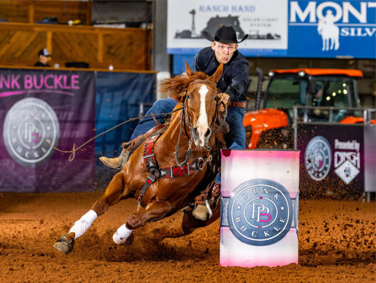 L#6114 Jokers Miss Fame - 2020 Sorrel Mare (This Guyz A Keeper x Miss ...