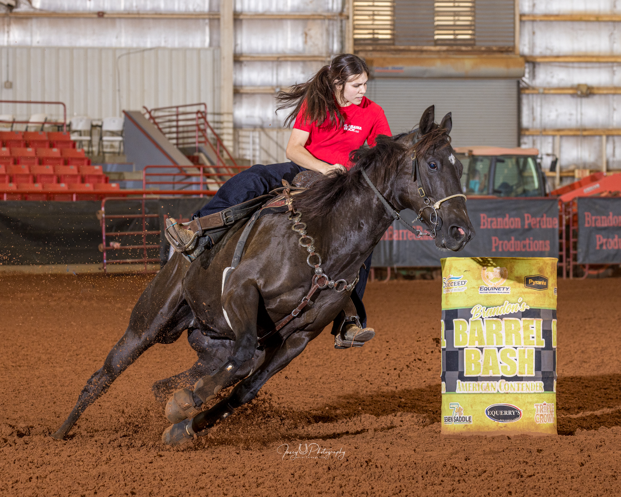 L#4977 Streakin On Vodka - 2016 Brown Gelding (Triple Vodka x Streakin ...