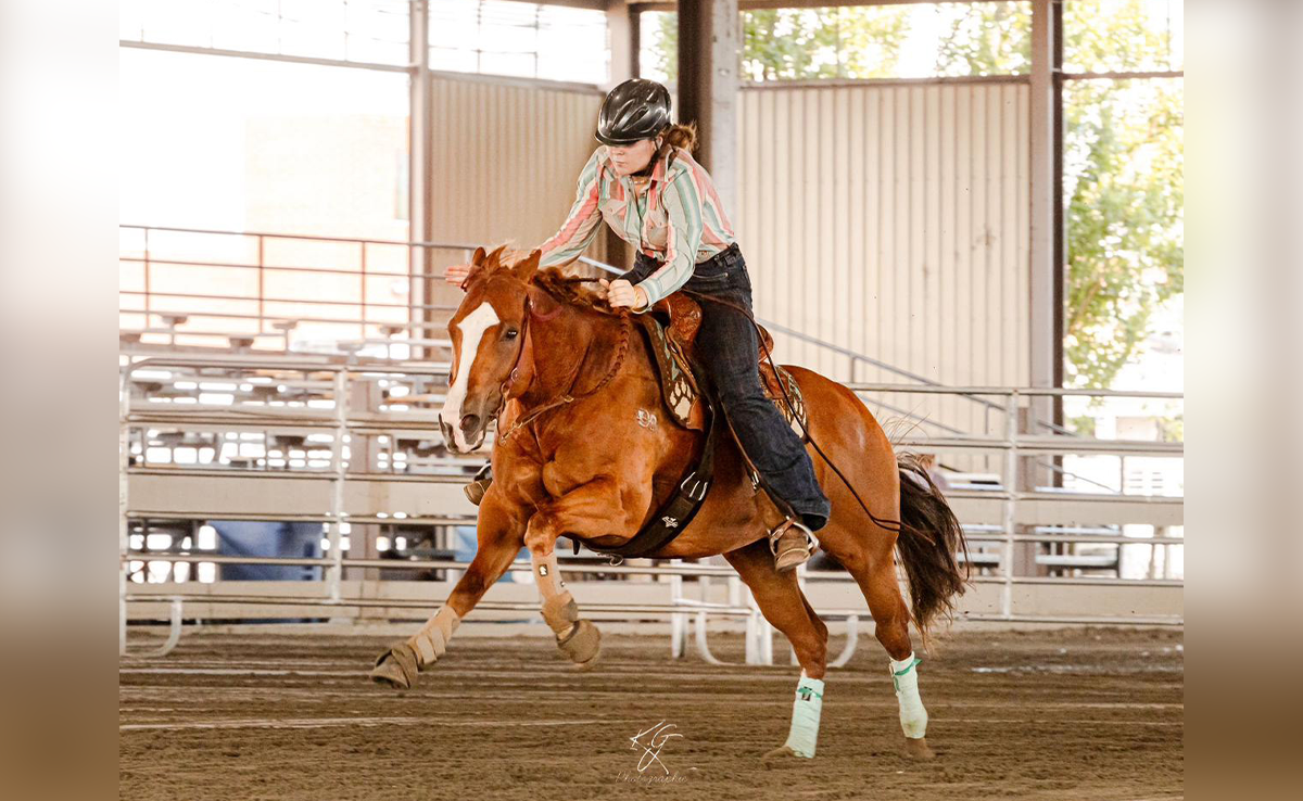 L#4848 Unbullevable - 2018 Sorrel Mare (Bullseye Bullion x Wonder Whats ...