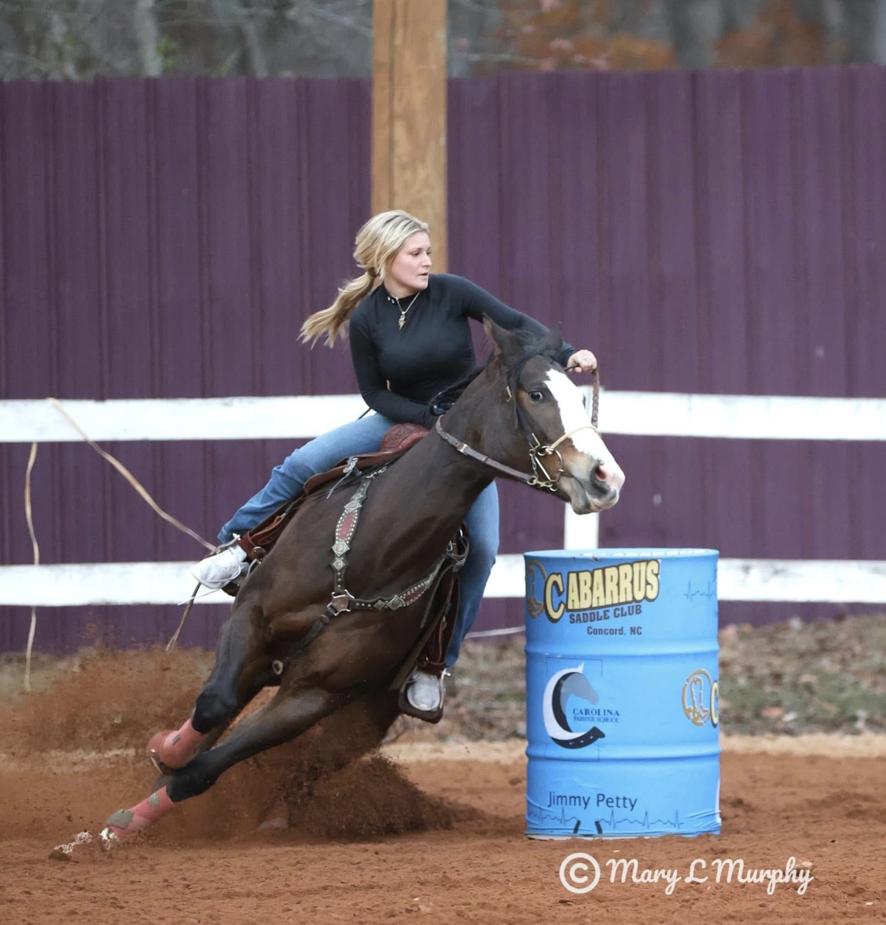L#2681 Firewater Chick - 2019 Bay Mare (Nnn Firewater Alive x Jess A ...