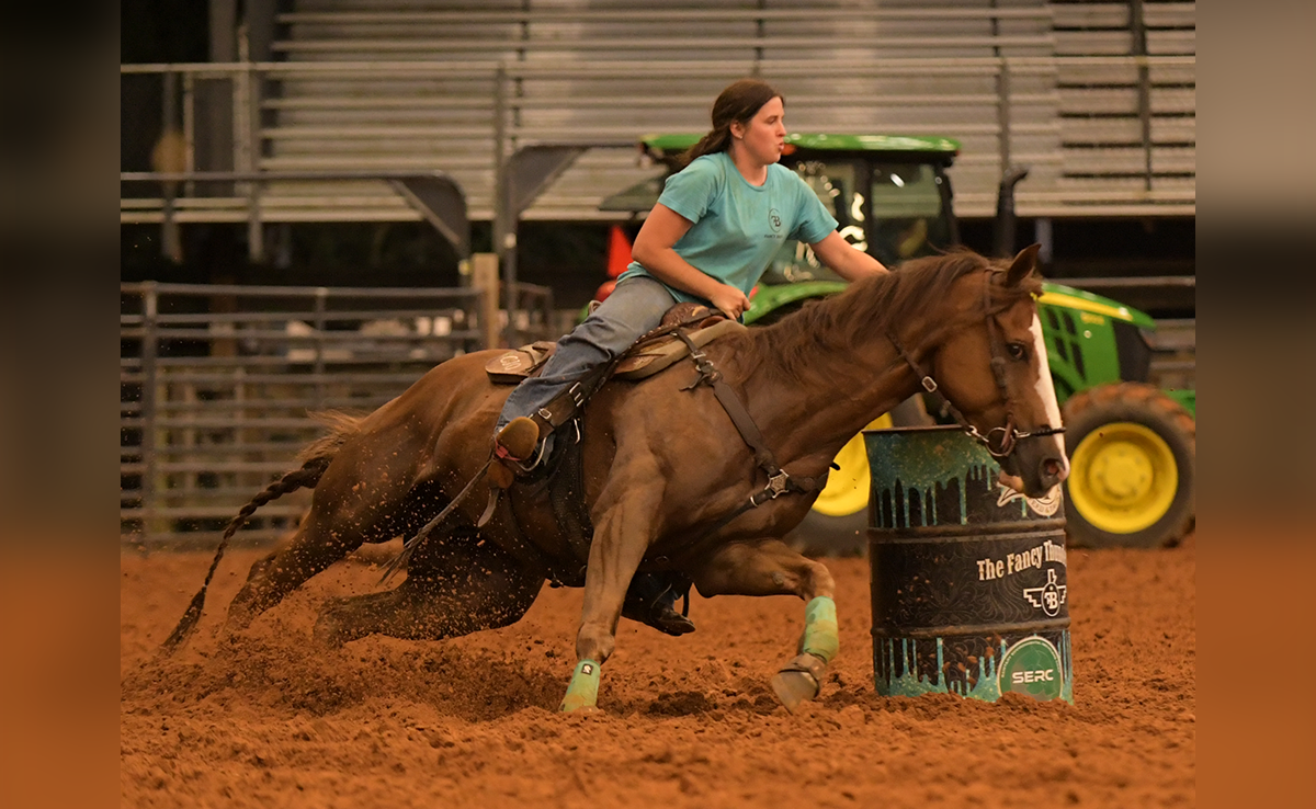 L#5941 Apollos Dash Ta Fame - 2015 Sorrel Gelding (Carrizzo x Sweet ...