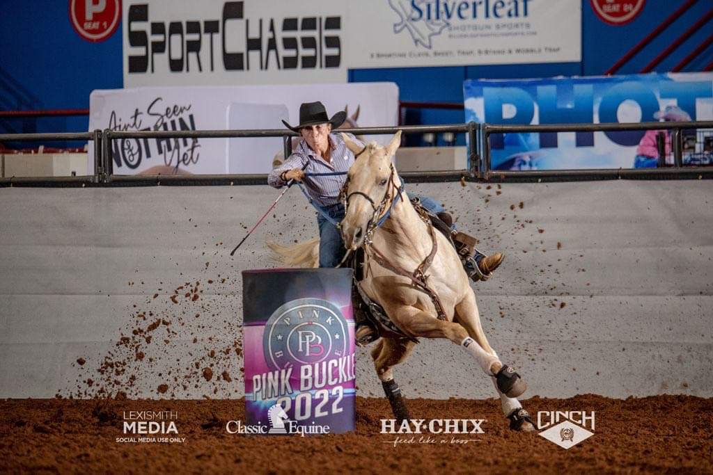 L#2917 Im French Ta Fame - 2018 Palomino Mare (Dashing Guy x Rickys ...