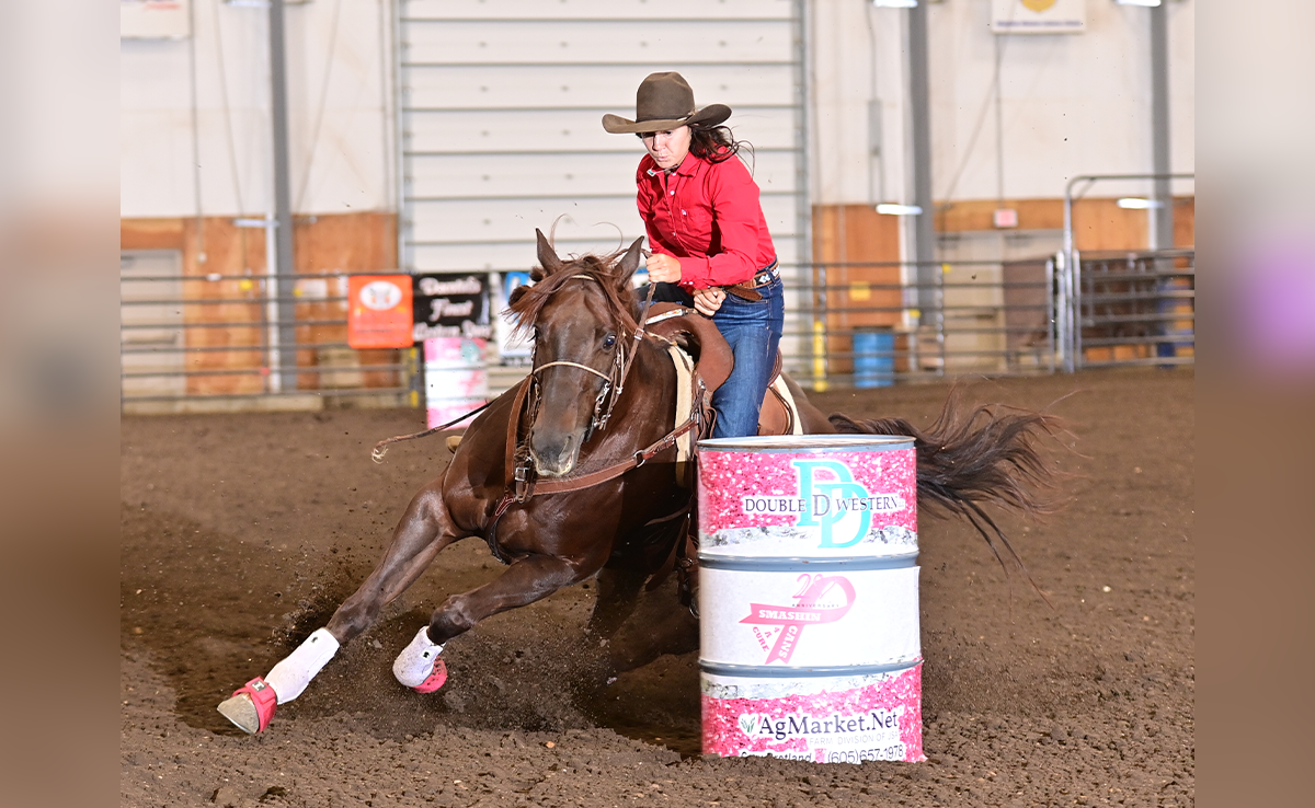 L#5108 Skeets Copper Baby - 2019 Chestnut Mare (Tm Sakem Drift x Jk ...