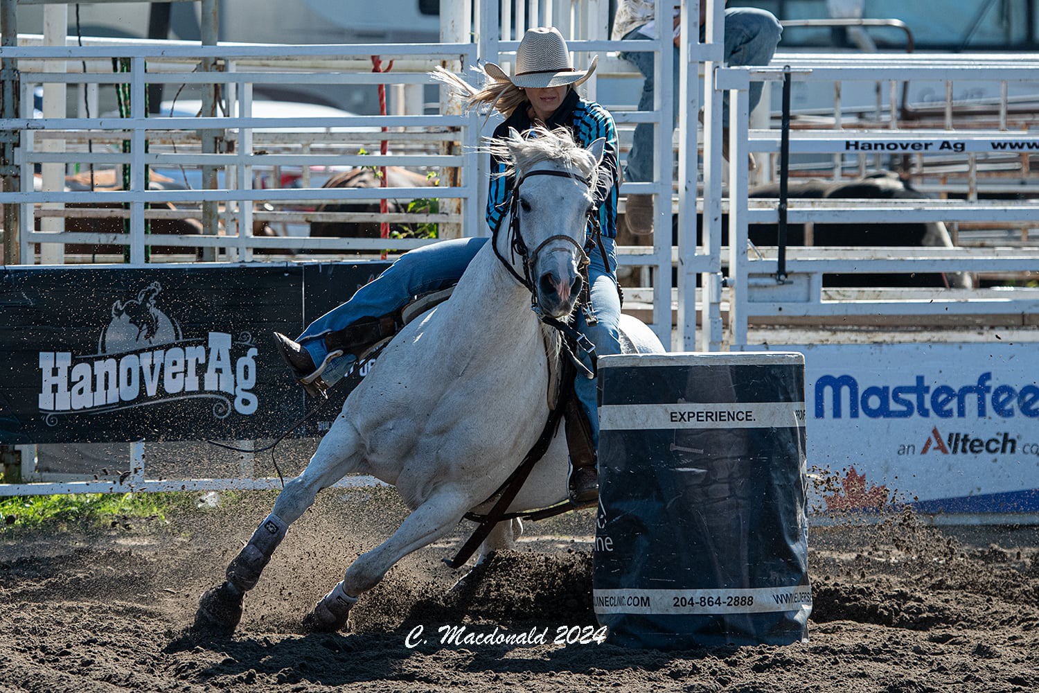 L#5186 Thischicsgottagun - 2015 Red Roan Mare (Drippin Bullets x Jj Blue Velvet, Jj Blue Sea ...
