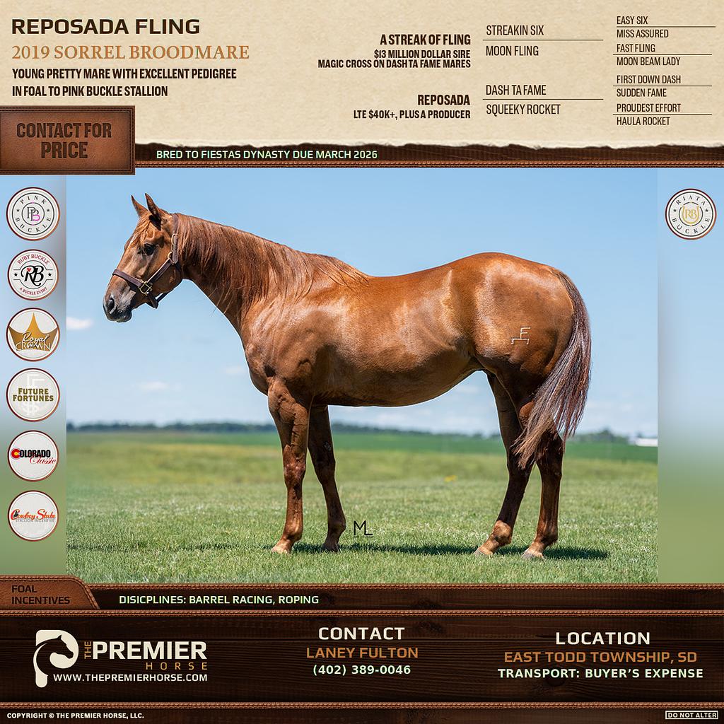 L#6115 Reposada Fling - 2019 Sorrel Broodmare (A Streak Of Fling x ...