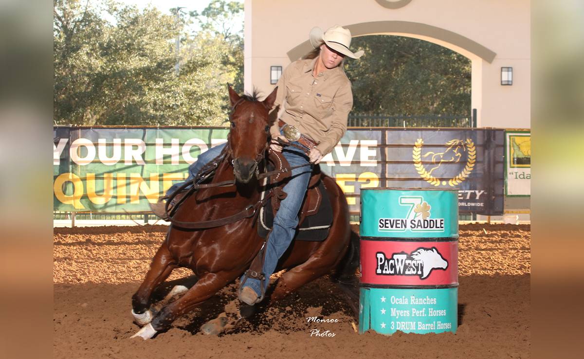 L#2058 Divas Roarrr - 2020 Bay Mare (Roarrr x Primos Diva, Teninas ...