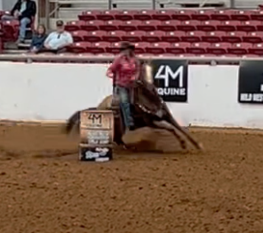 L#1036 Sheza Bullys Freckle - 2020 Sorrel Mare (Freckles Ta Fame x ...