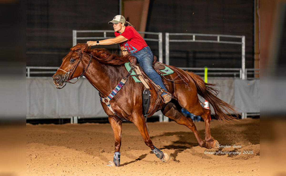 L#4471 Shawne First Bullion - 2016 Sorrel Mare (Shawne Bug Leo x Easy ...